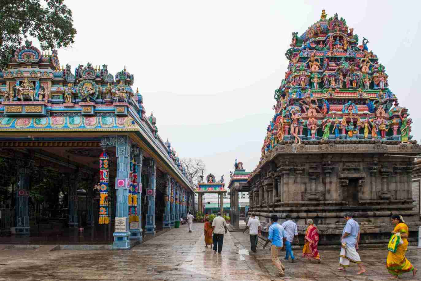 Experience Chennai’s Culture, Markets & Food | Storytrails India